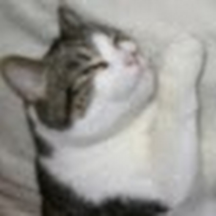 Aaron Krause - YouTube