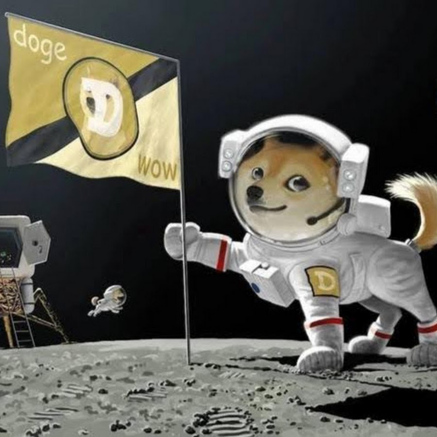 doge moon - YouTube