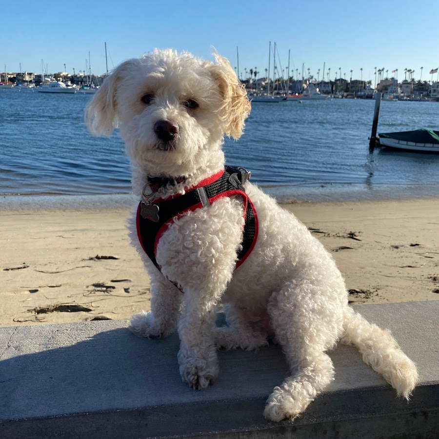 Ainat Altarac - YouTube