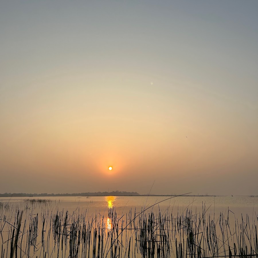 AIdro_mZcppvNz3r99Hqry8InHalOLqwYrtjooHCmwyXLZM=s900-c-k-c0x00ffffff-no-rj