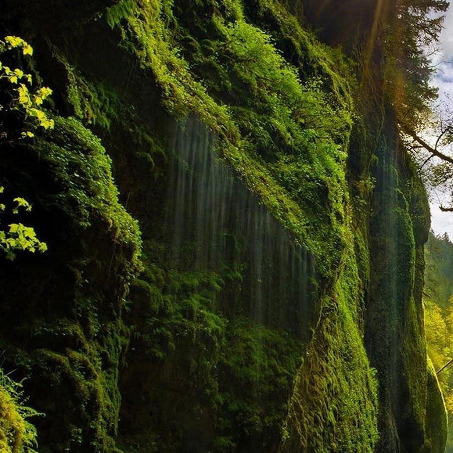 vitor ribeirinho - YouTube