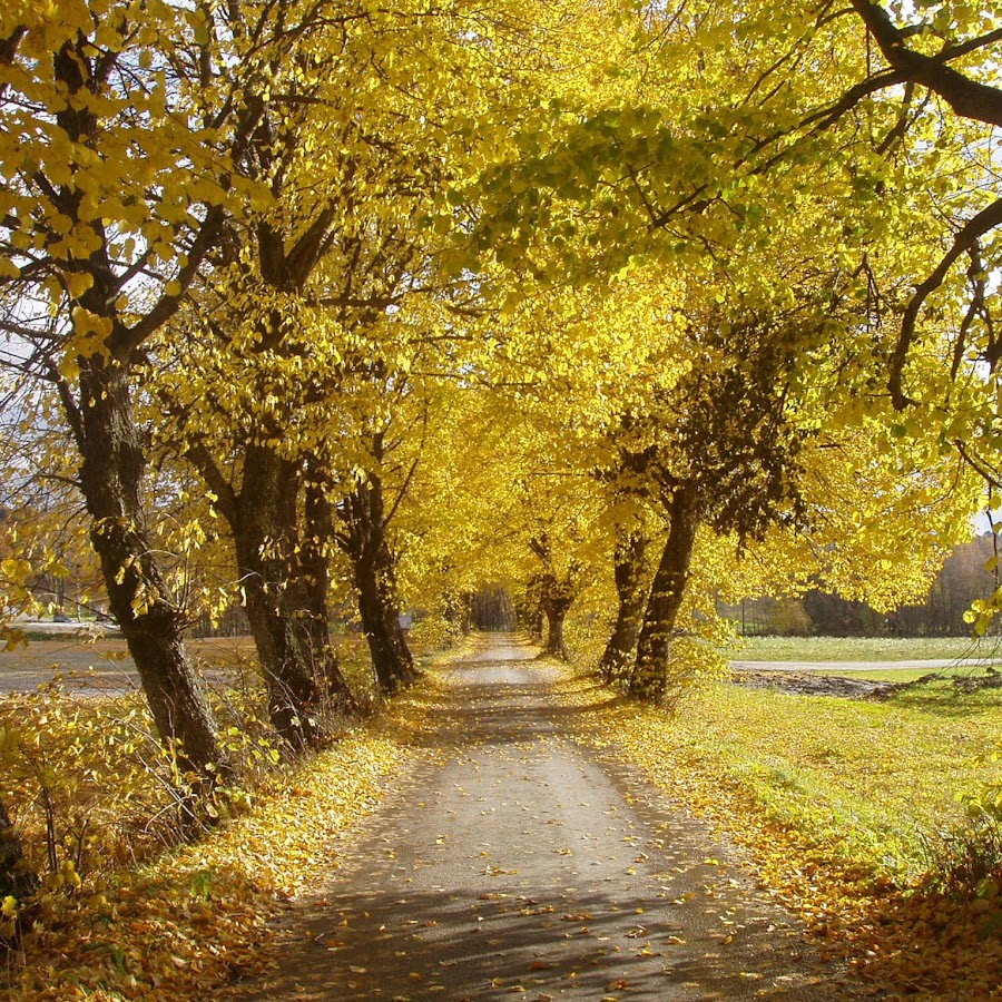 Jorn Svendsen - YouTube