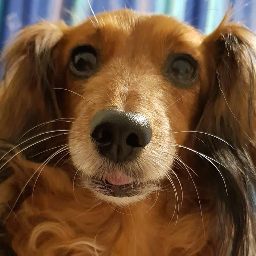 Mitchell Cooper - YouTube