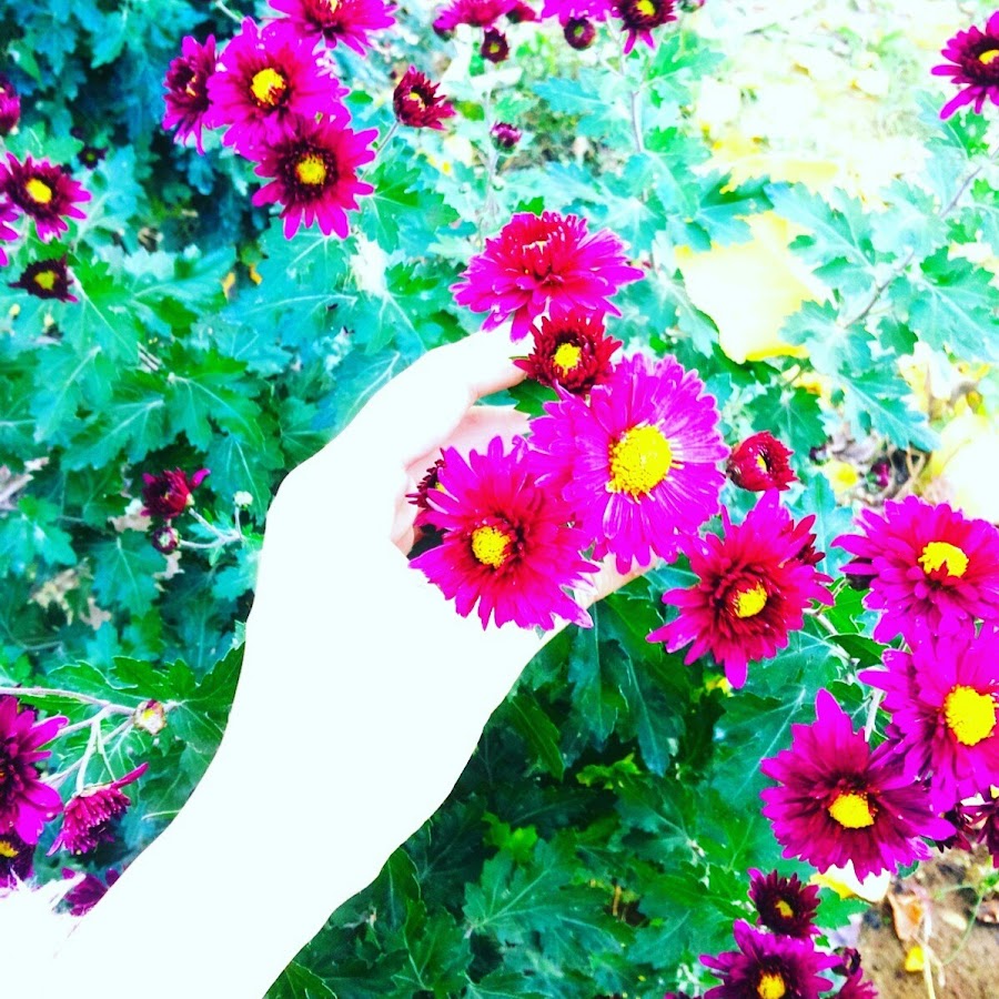 Azade Memmedova - YouTube