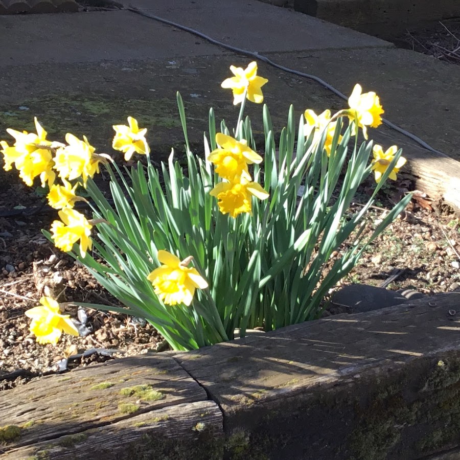 Katherine Knapp - YouTube