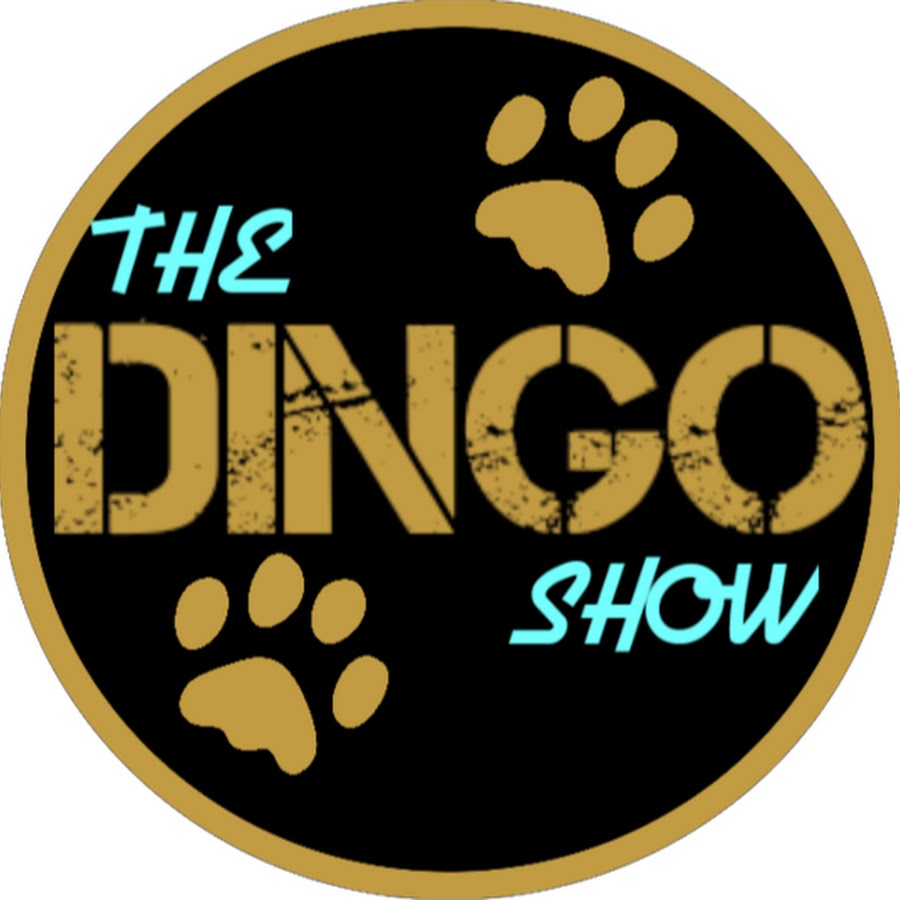The Dingo Show - YouTube