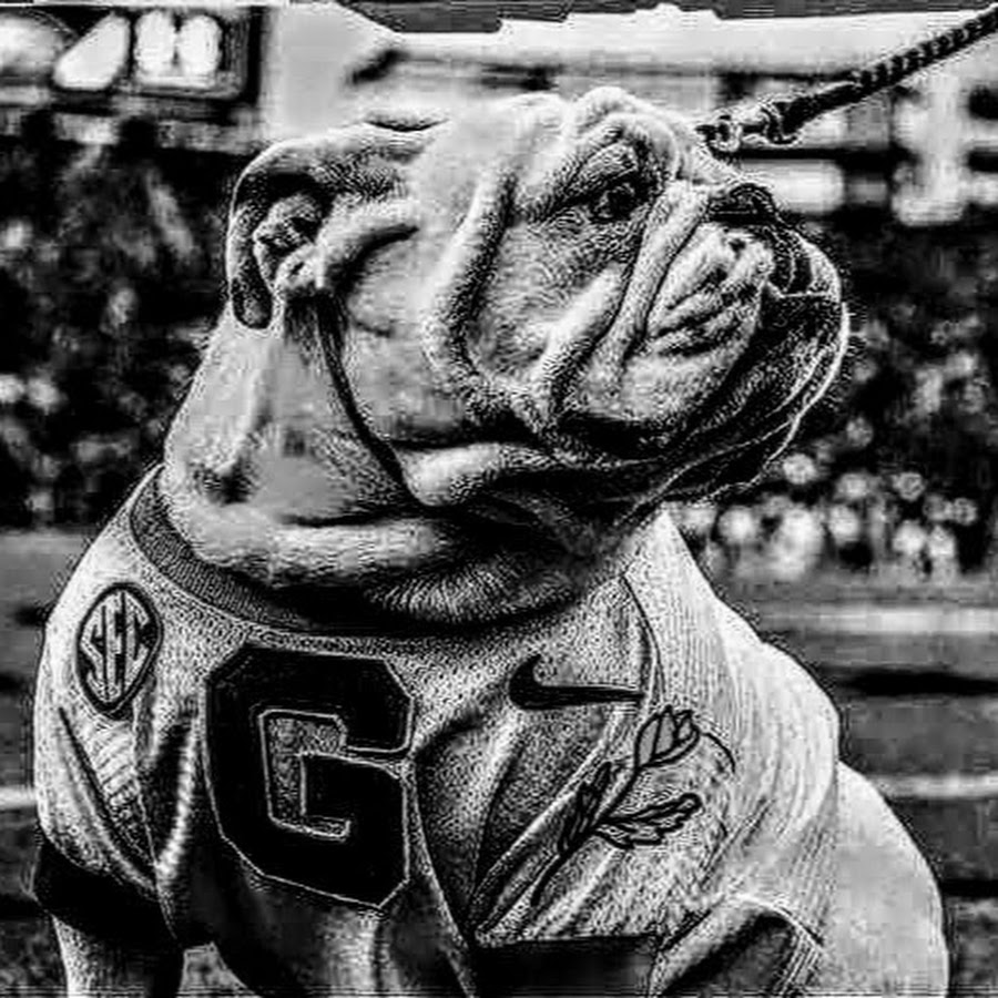 Marcus Wallis - YouTube