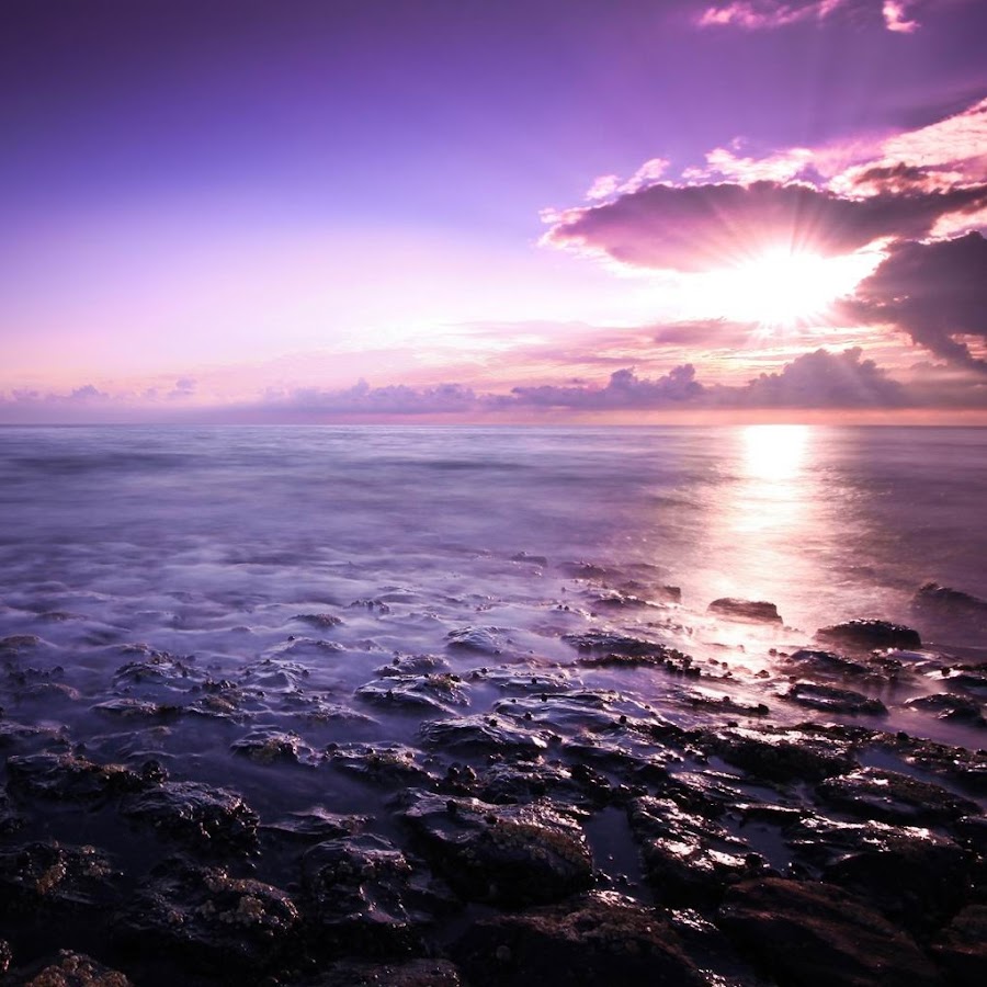 KNTチャンネル - YouTube