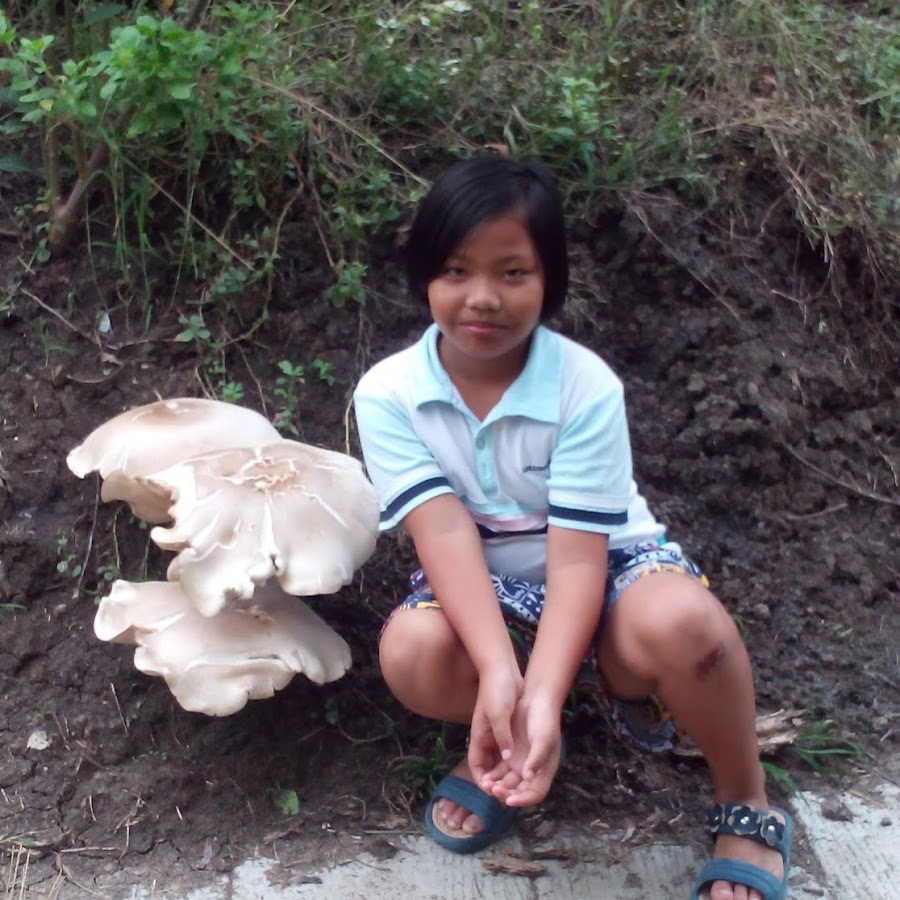 Arunchay Phuengnum - YouTube