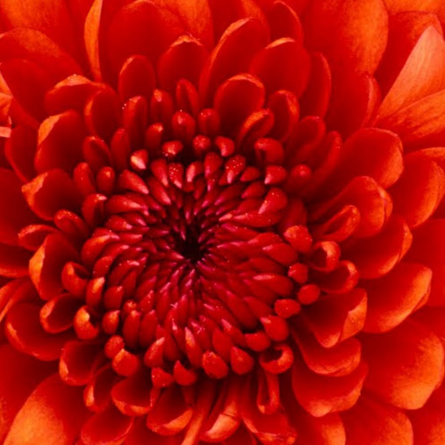 BABU LAL YADAV - YouTube