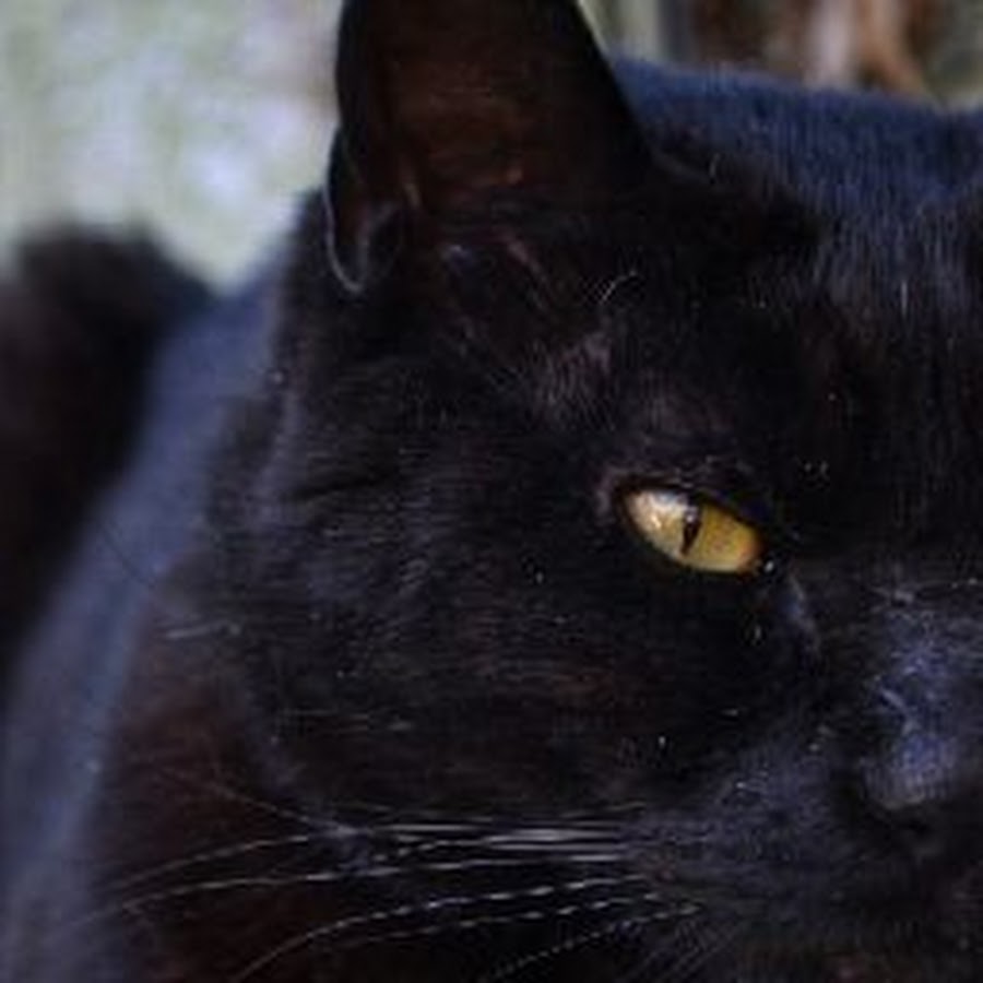 Zenón Fernandez - YouTube