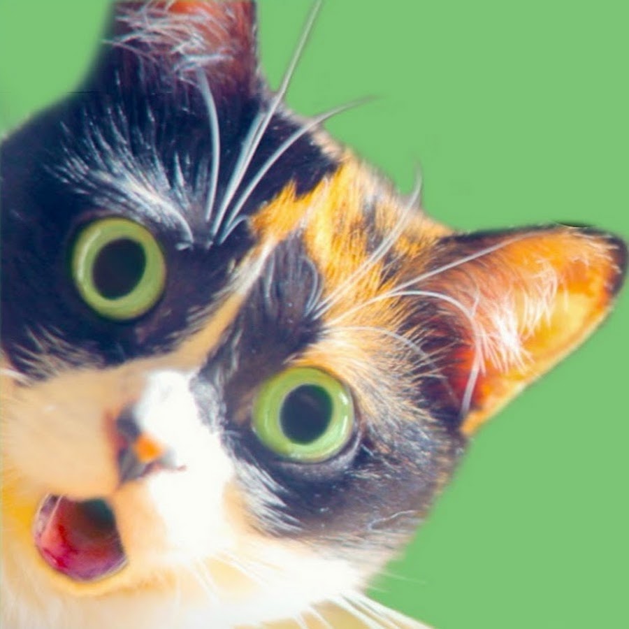 Slivki Show 2 - YouTube