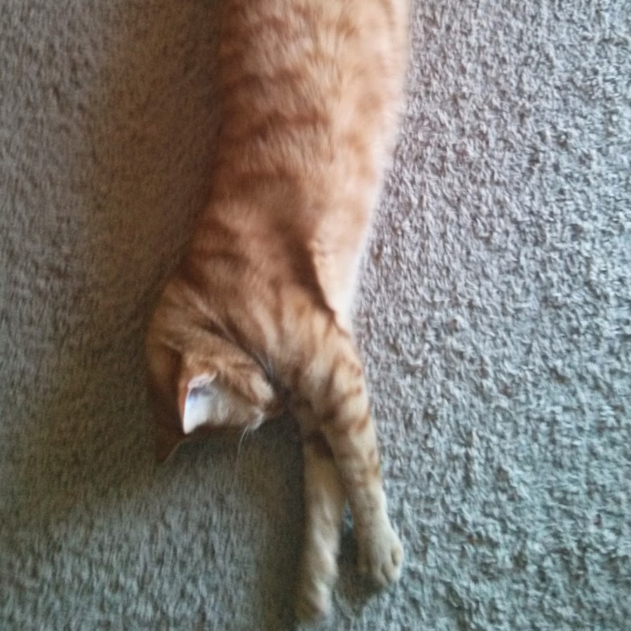 Daniel Kingshott - YouTube