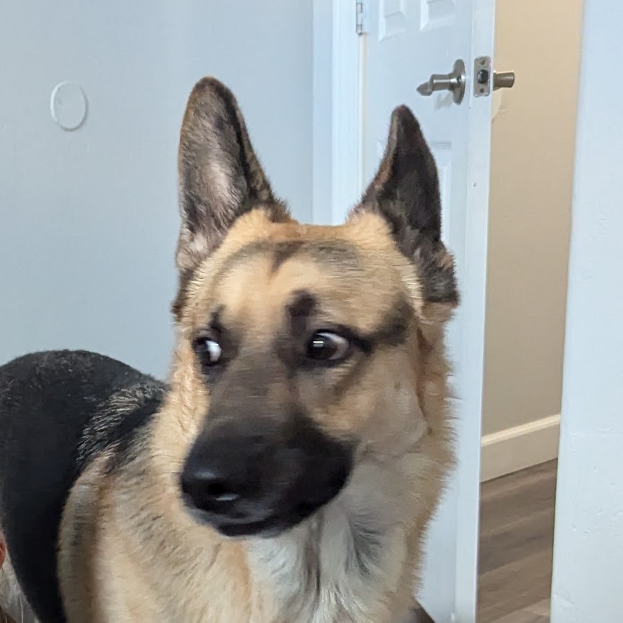 Matt Flores - YouTube