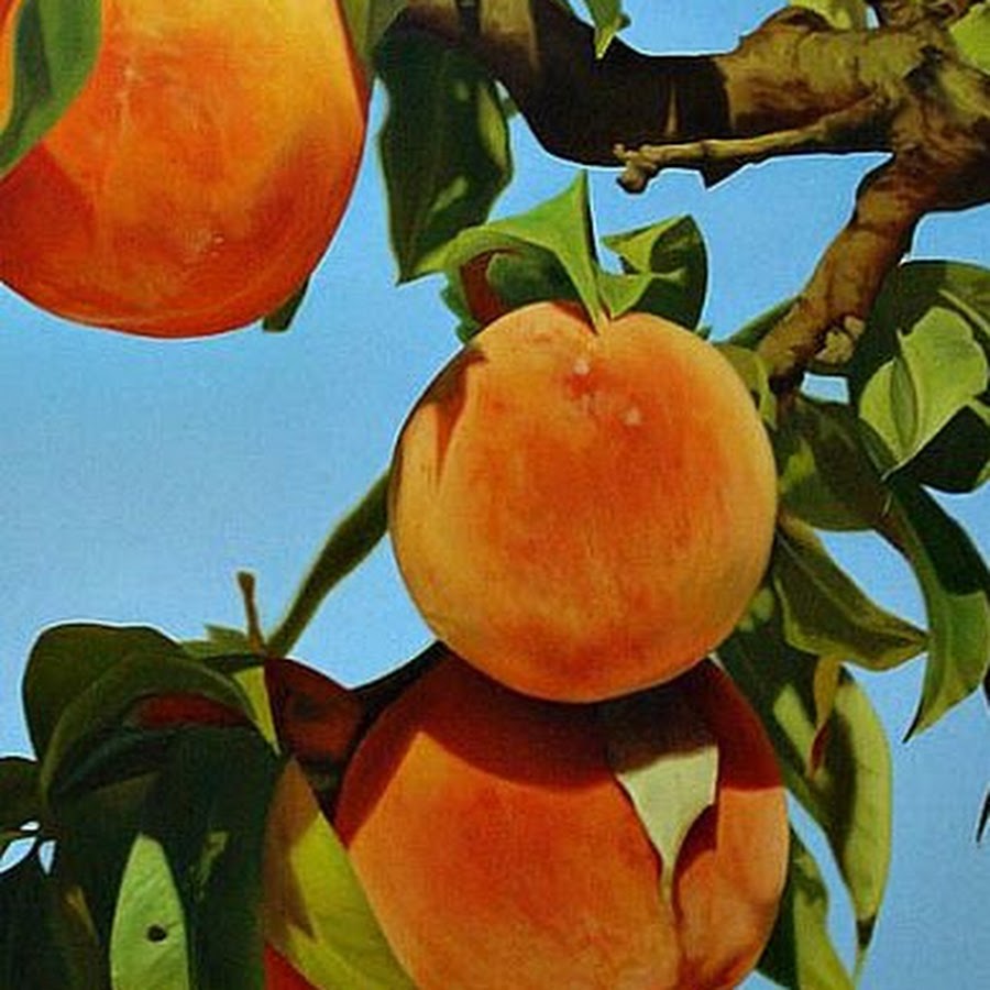 Amari Bell - YouTube