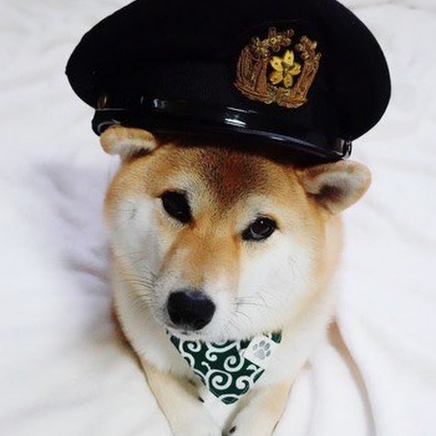 AIdro_n3MDHYoK_MYPuQO2yV-dGgFkWeofX-CQ5Dhyav=s900-c-k-c0x00ffffff-no-rj