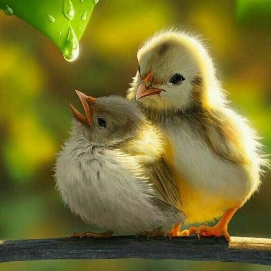 L4U Status - YouTube