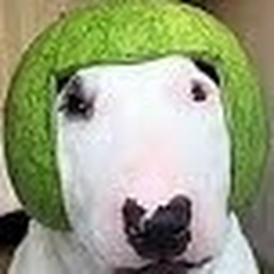 James Workman :/ - YouTube