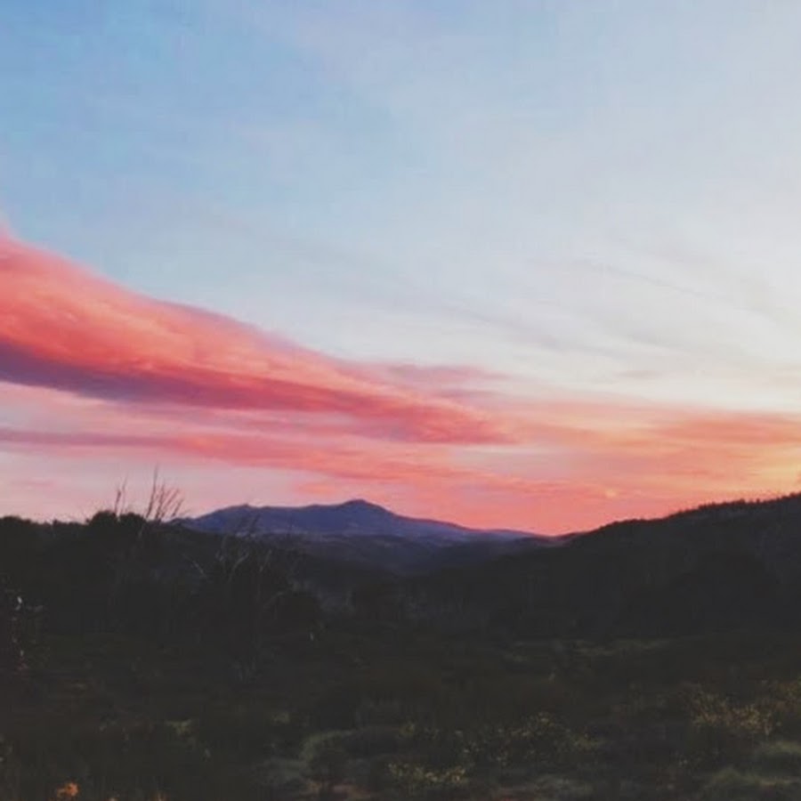 Taylor Barrow - YouTube