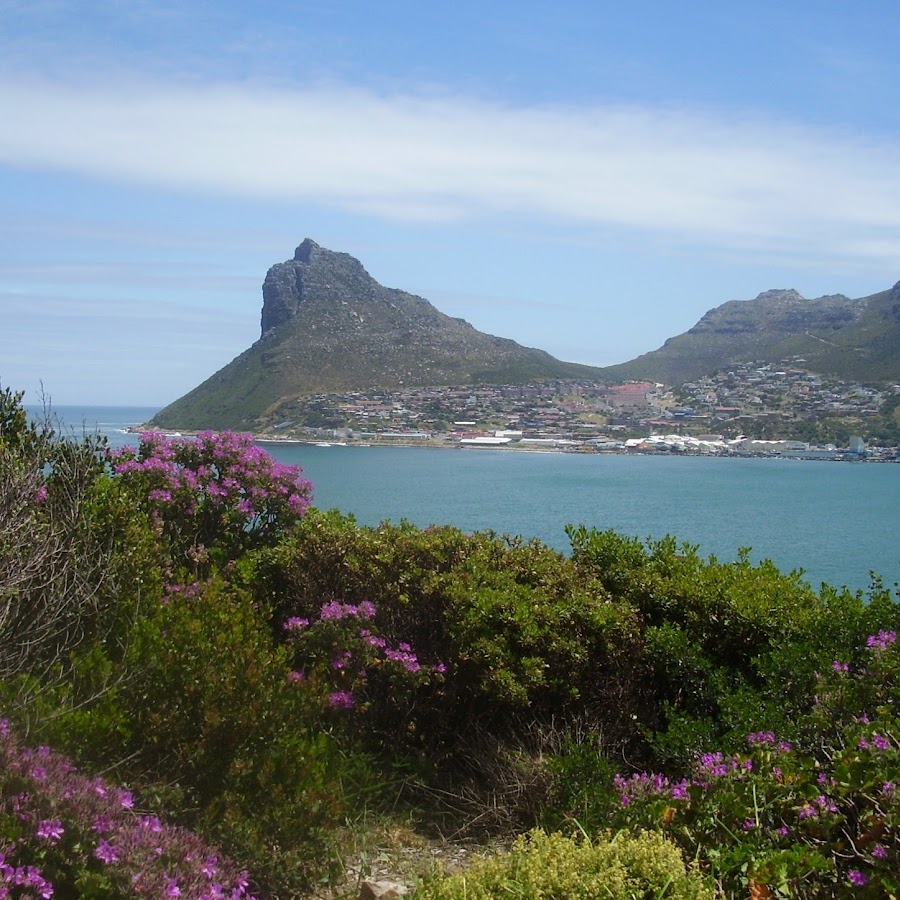 AIdro_nALwtLP_oQD4WuQDkeeHk3pYTYO2d0qZ7umhQP-cC70Z0=s900-c-k ...