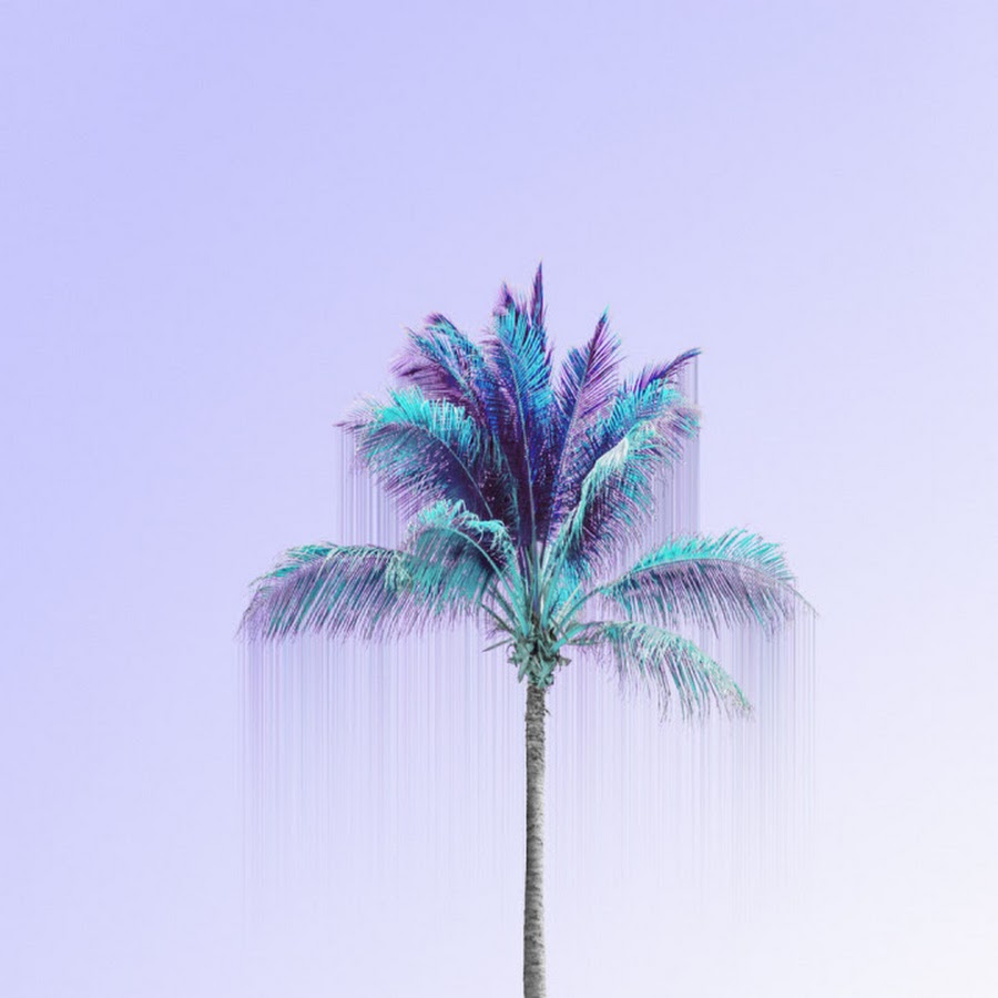 David Renker - YouTube