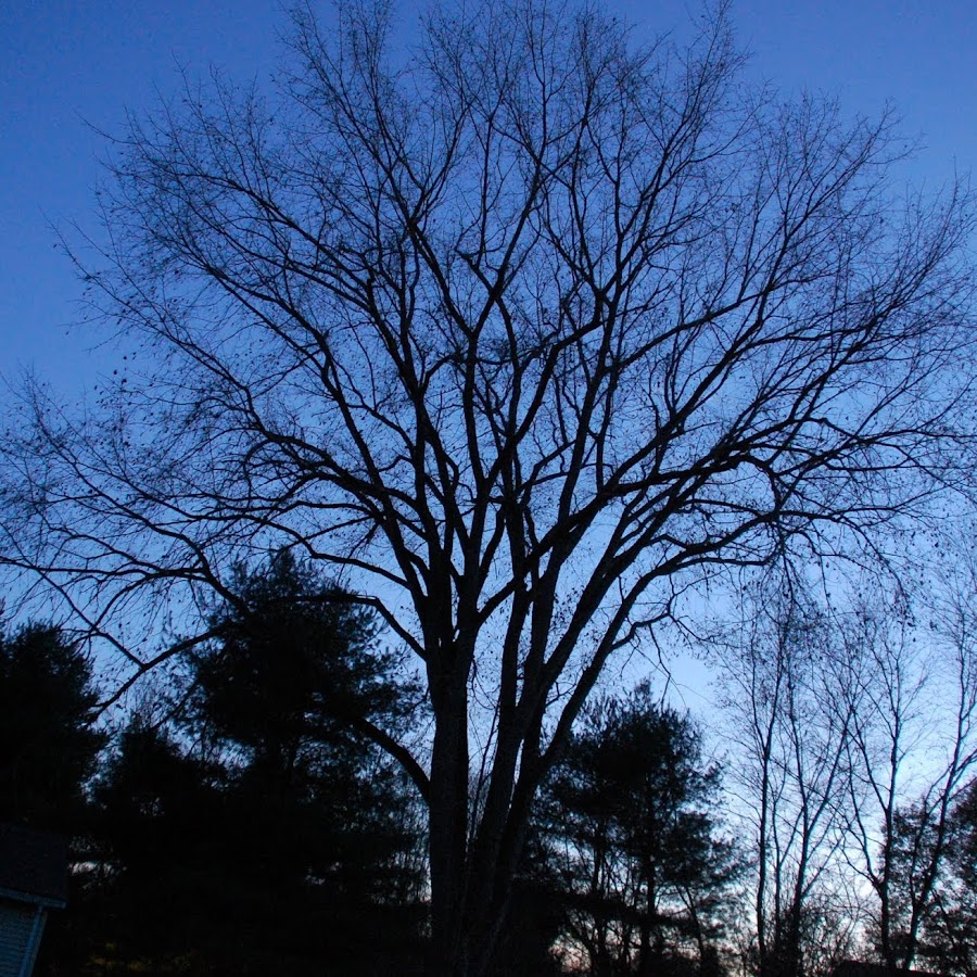 Marshall Fisher - YouTube