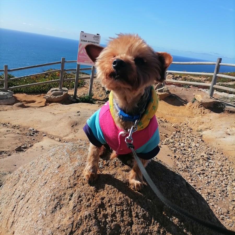 Mafalda Sofia - YouTube