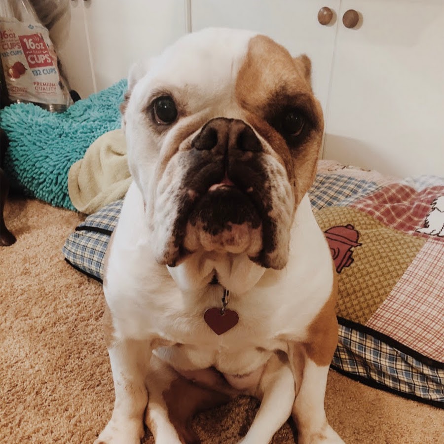 Cassidy Barry - YouTube