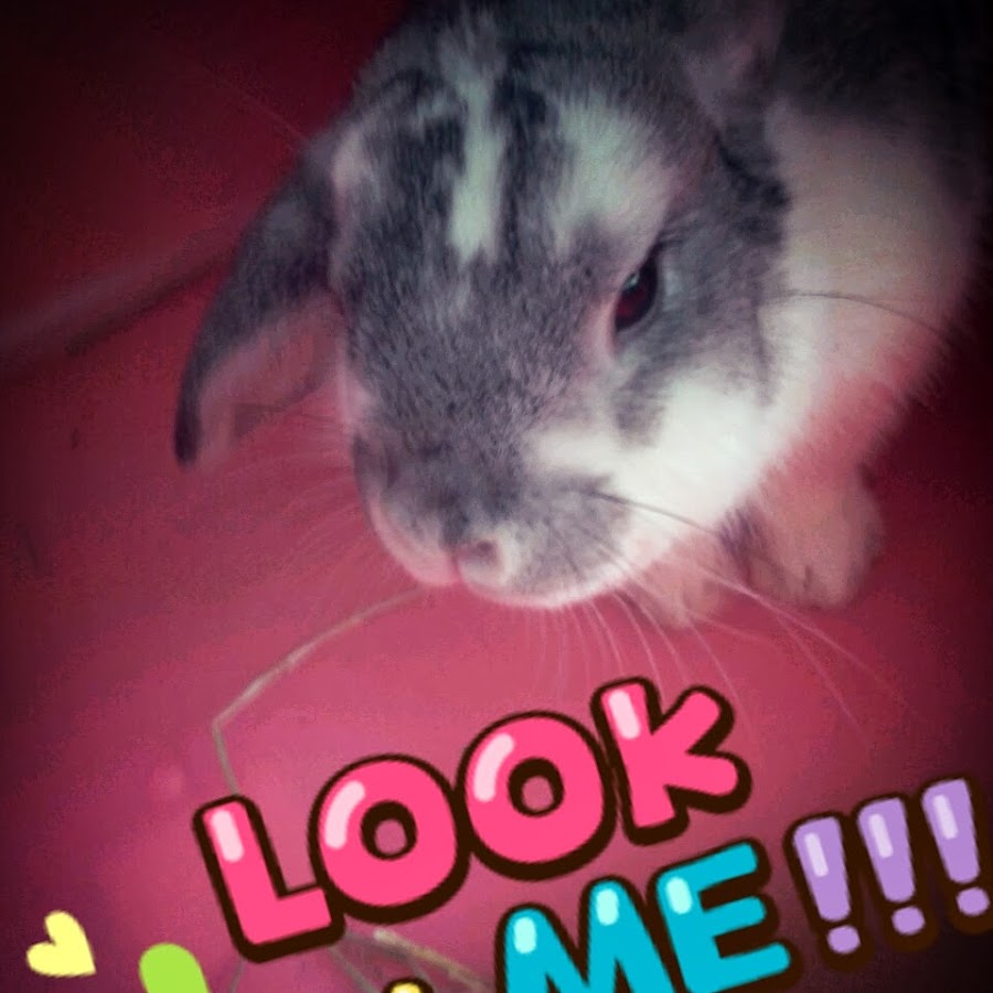 Queenie Fung - YouTube