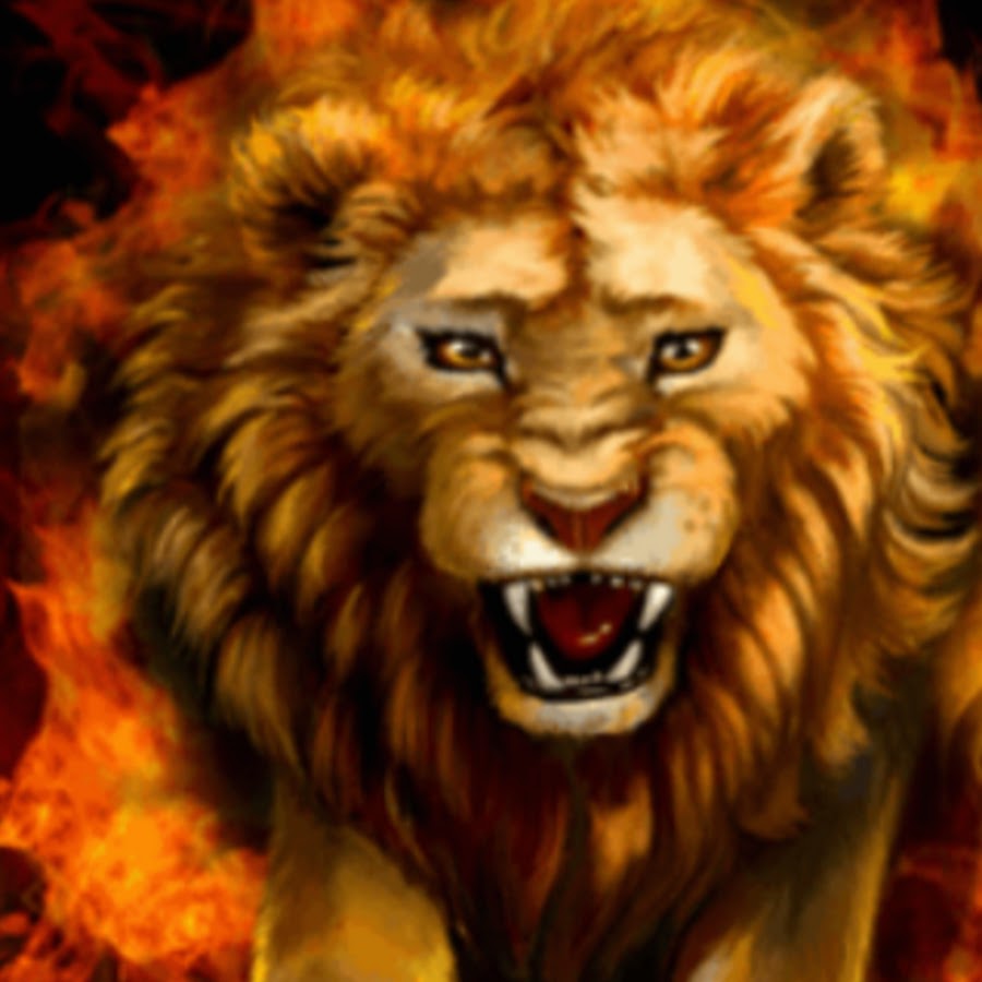 Lion pack Lion pack - YouTube