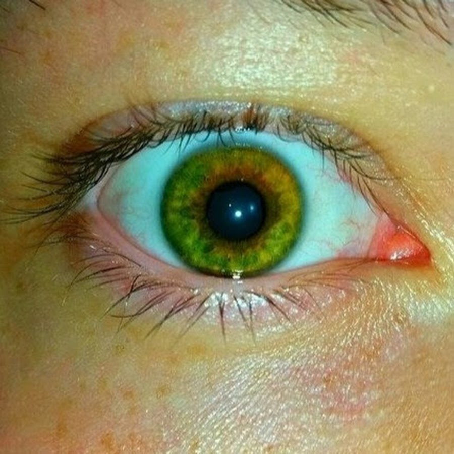 Arthur Valeev (Vitdex) - YouTube