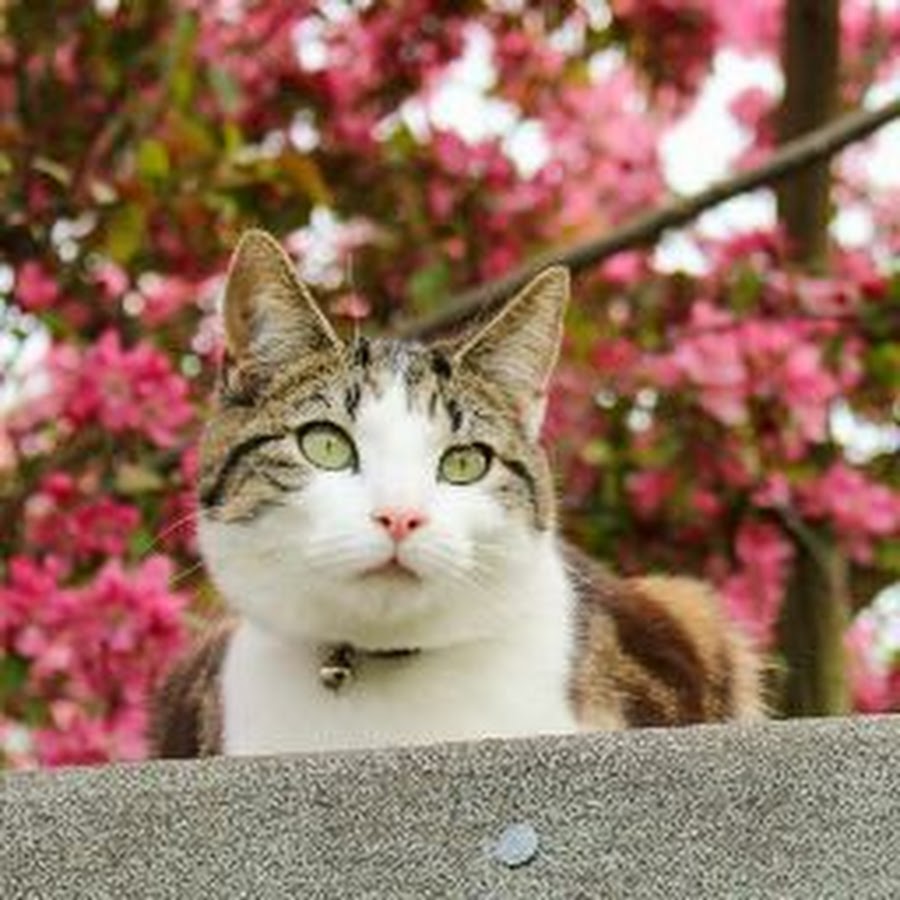 Ruby Garrison - YouTube