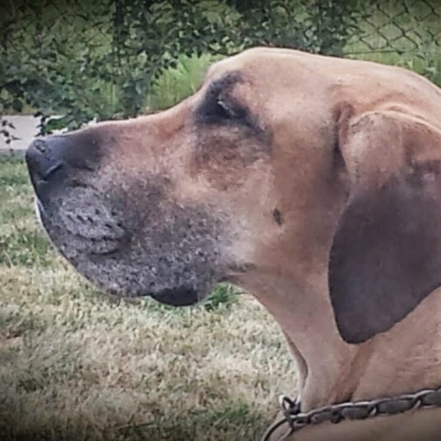 Troy Blaskin - YouTube