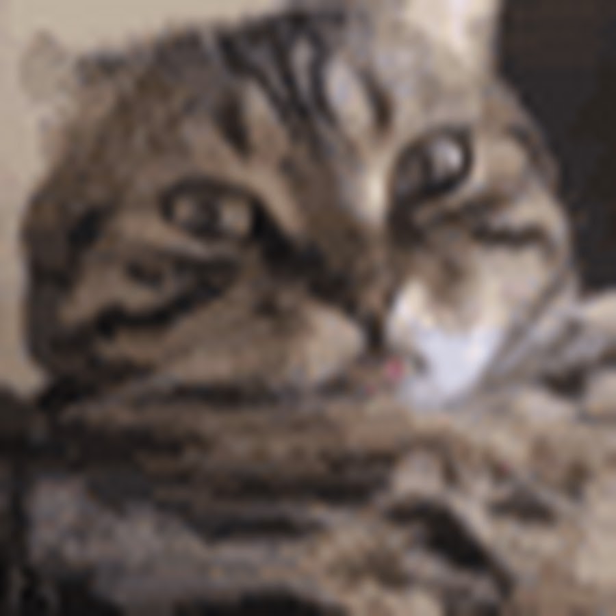 Jay Peterson - YouTube