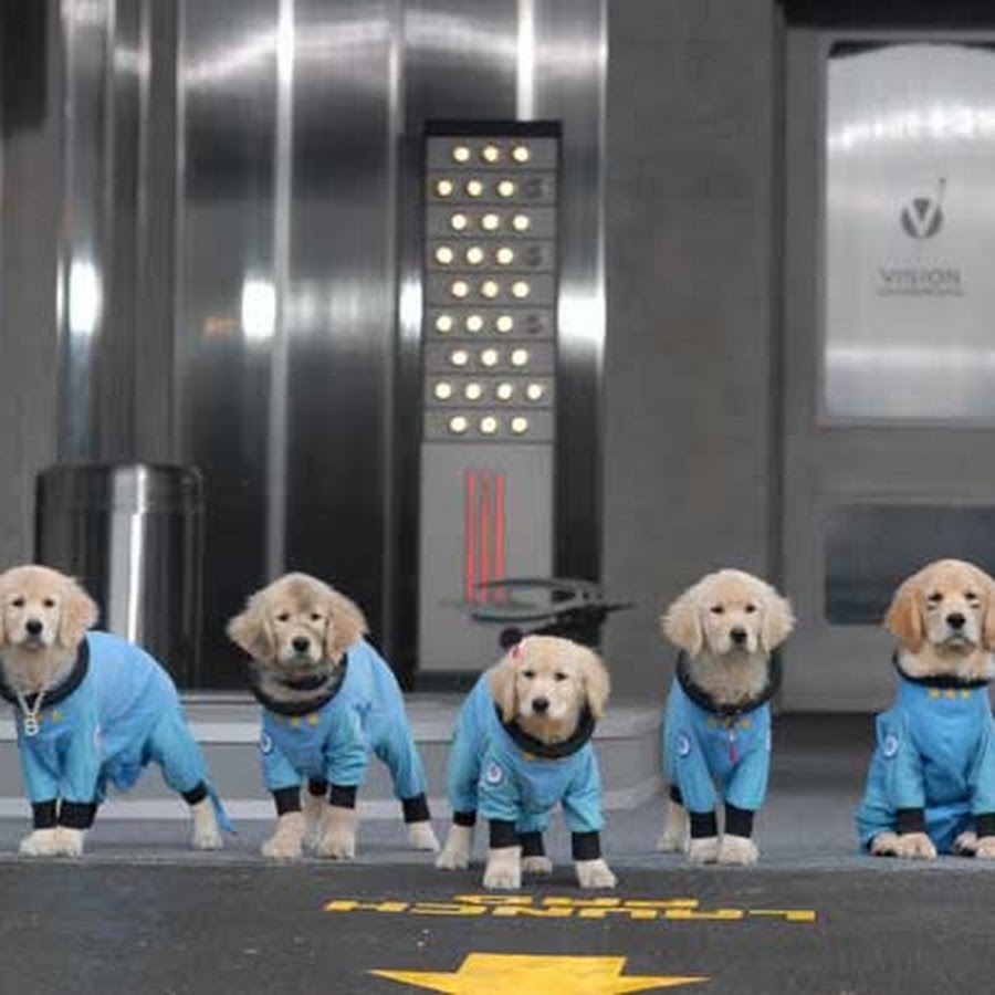 Game Buddies - YouTube