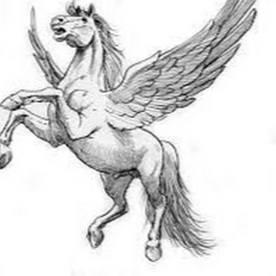 Xpegasogamer O_oo - YouTube