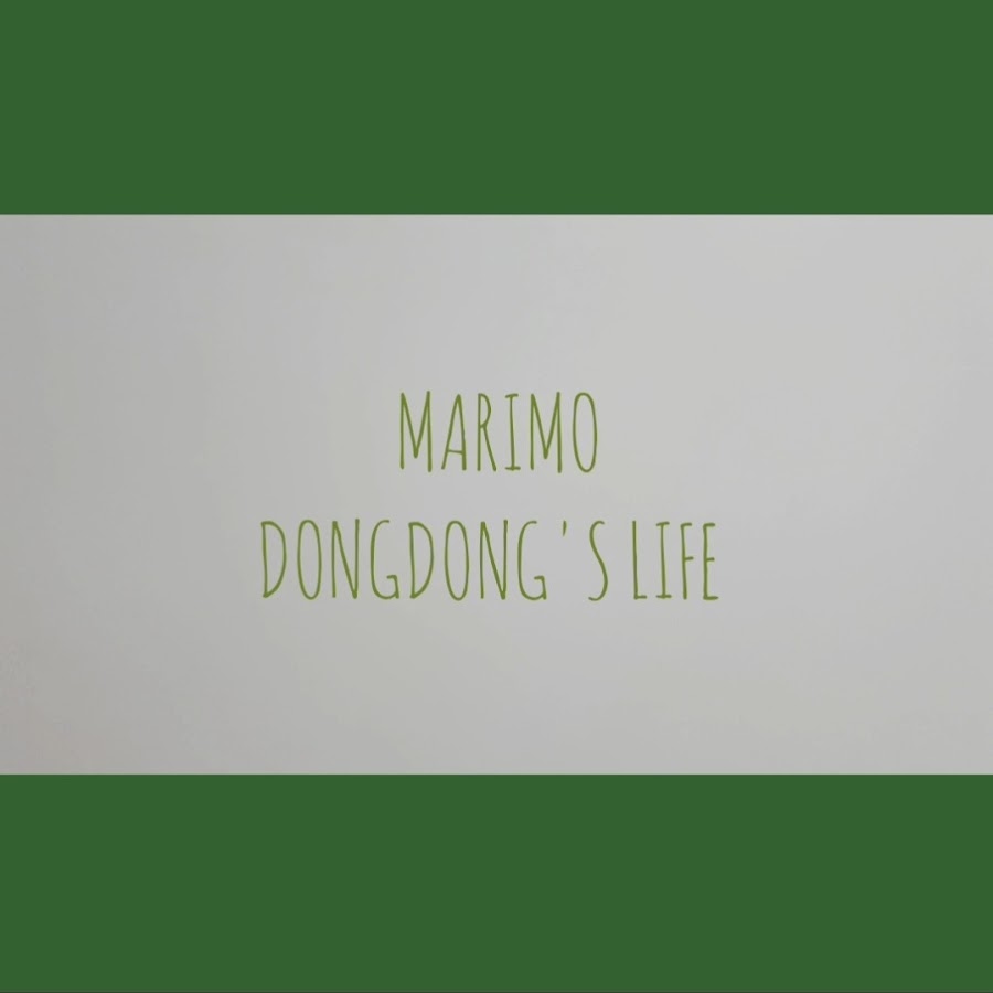 [MARIMO] 'DONGDONG's Life' - YouTube