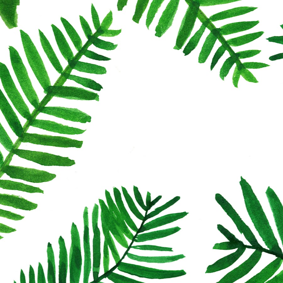 Acxel Jackb - YouTube