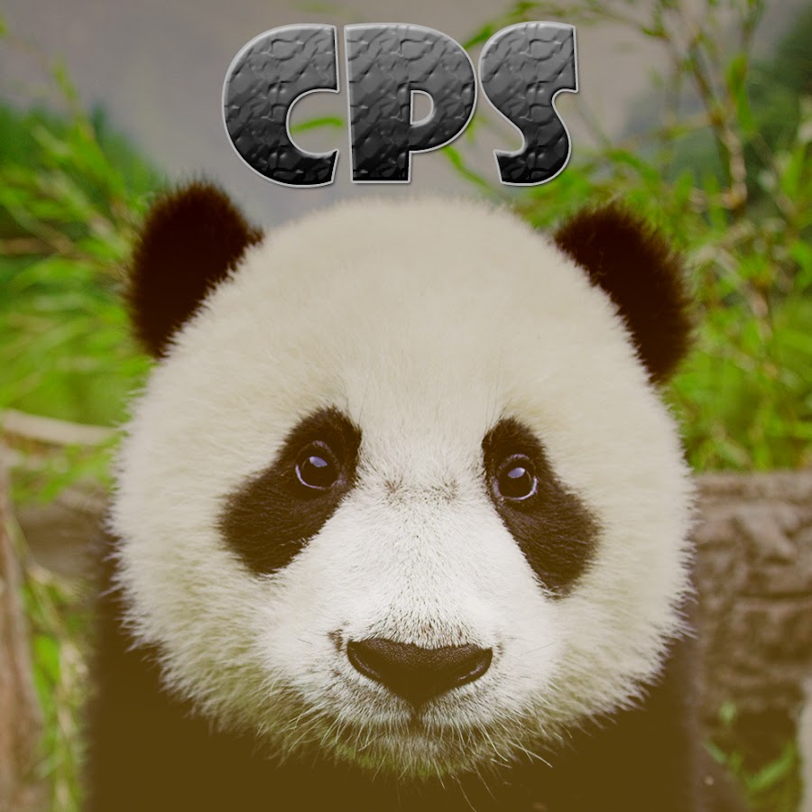 Cinematic Panda Squad - YouTube