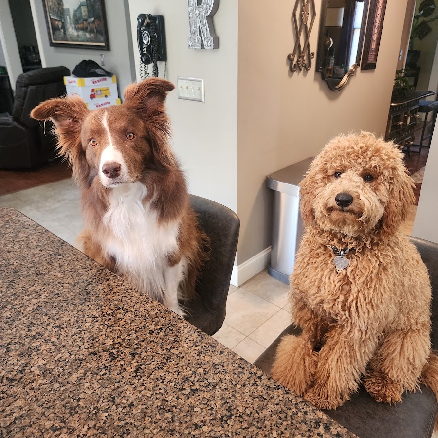 Jackie Racano - YouTube