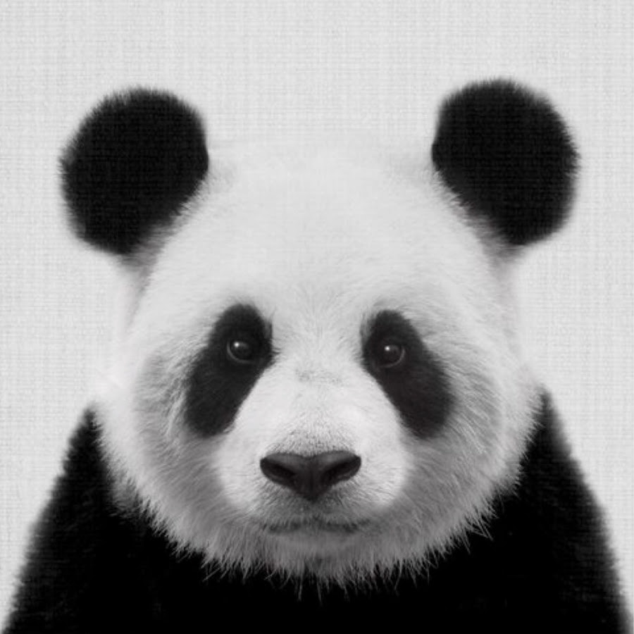 James Abrams - YouTube