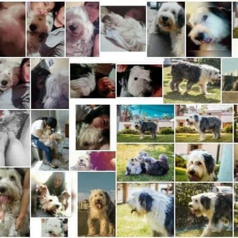 Nicole Neira - YouTube