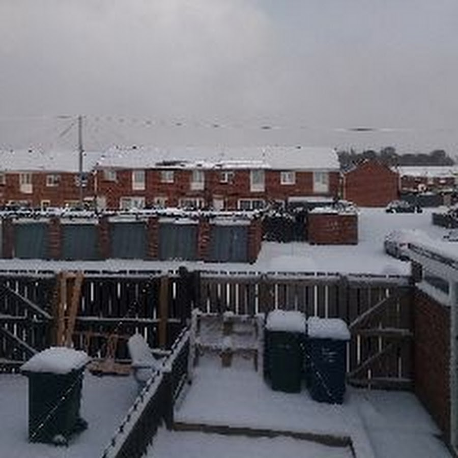 Harry Sneddon - YouTube