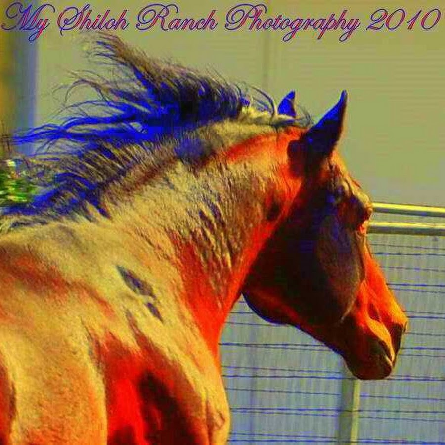 Susan Emory - YouTube