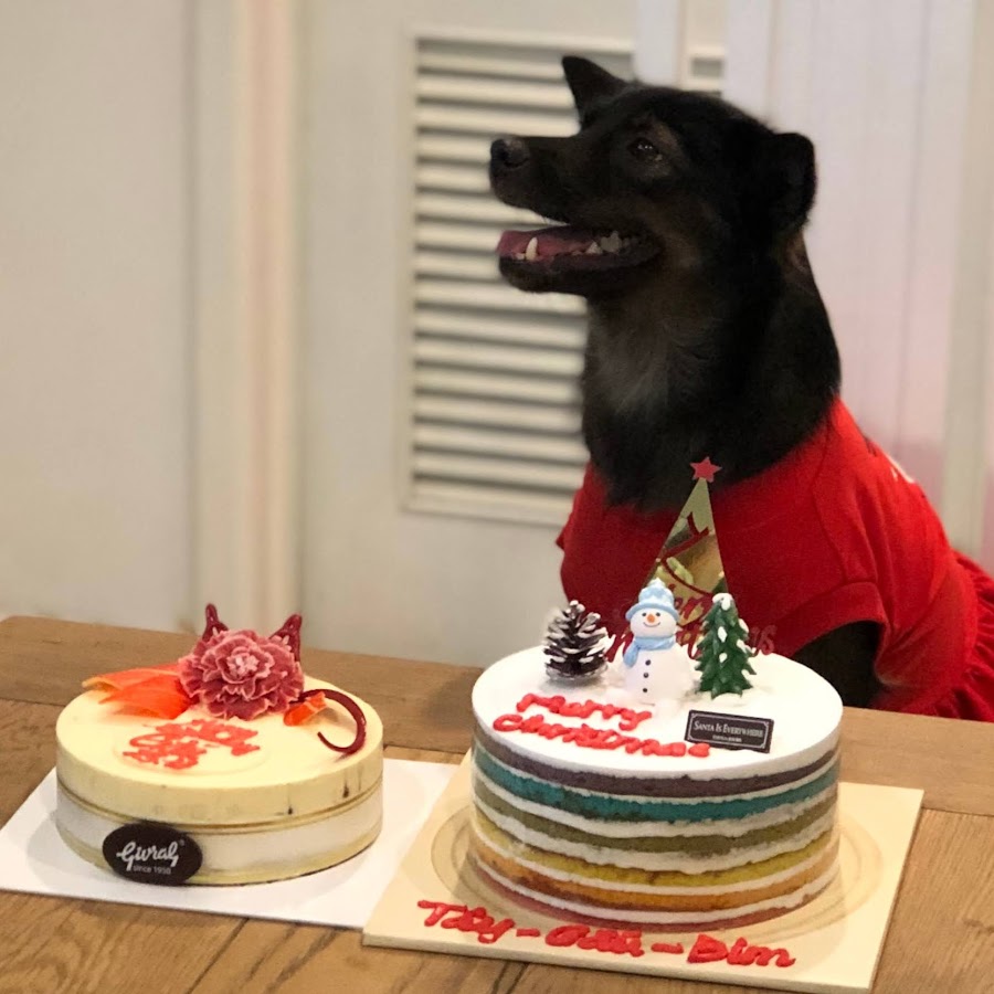 Kim Cuc Tran - YouTube