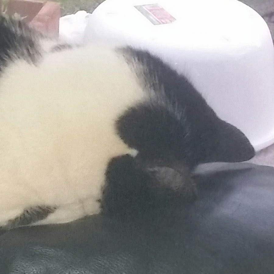 Blake Dawson - YouTube