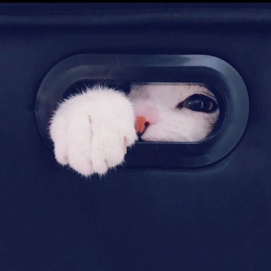 AIf8zZQ0IUzMtQO2UPwB_NyGVG27P4e1gnXIAbZpTA_sRQ=s900-c-k-c0x00ffffff-no-rj