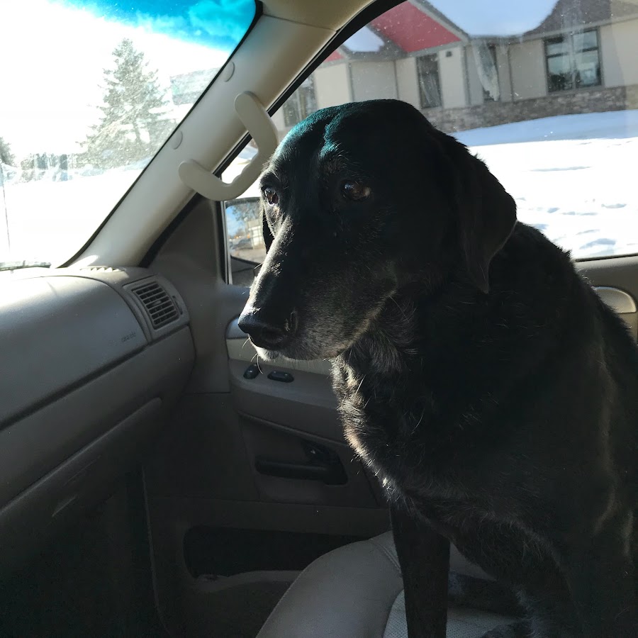 AIf8zZQLMXndFijN4TISm0HV-ePHdIAX4_apyGe4uAzg=s900-c-k-c0x00ffffff-no-rj