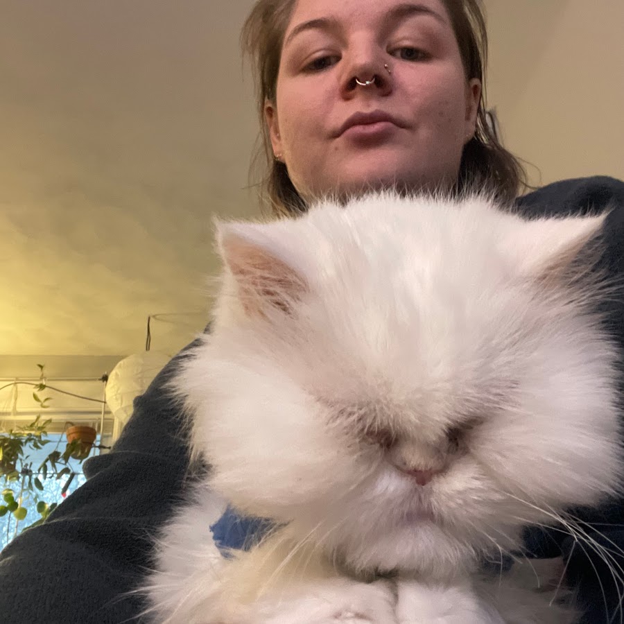 AIf8zZQLQNge2UHfcXQ3kcSs-3O2cPOwL0Dzbwvjrzfpbw=s900-c-k-c0x00ffffff-no-rj