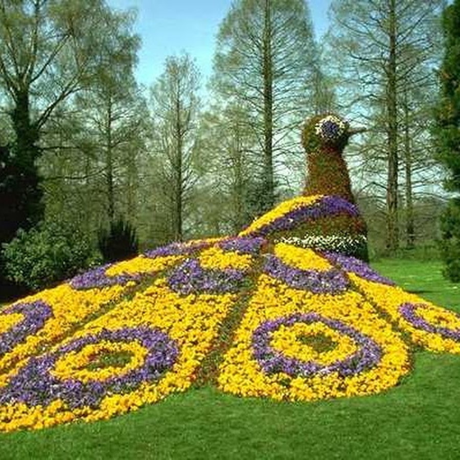 AIf8zZSLKOwuAXJDc5ODXj1r5pdVshGDtRCsrL7Js_0P=s900-c-k-c0x00ffffff-no-rj